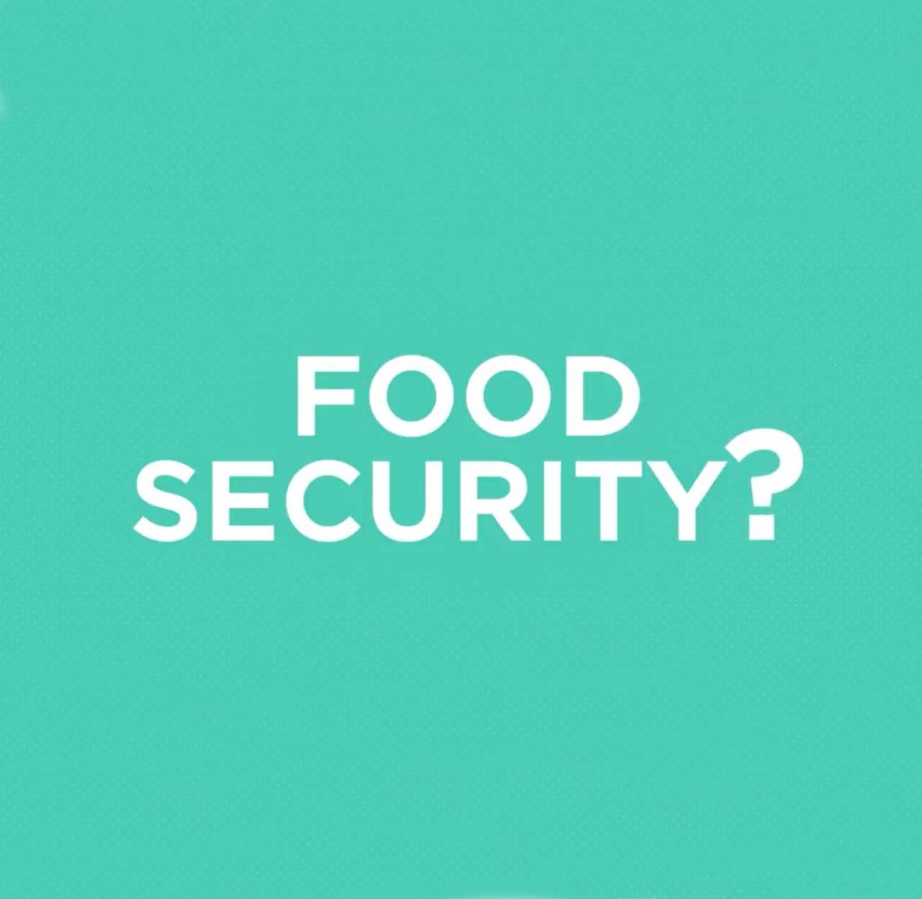 What is food security? | Canadian Foodgrains Bank