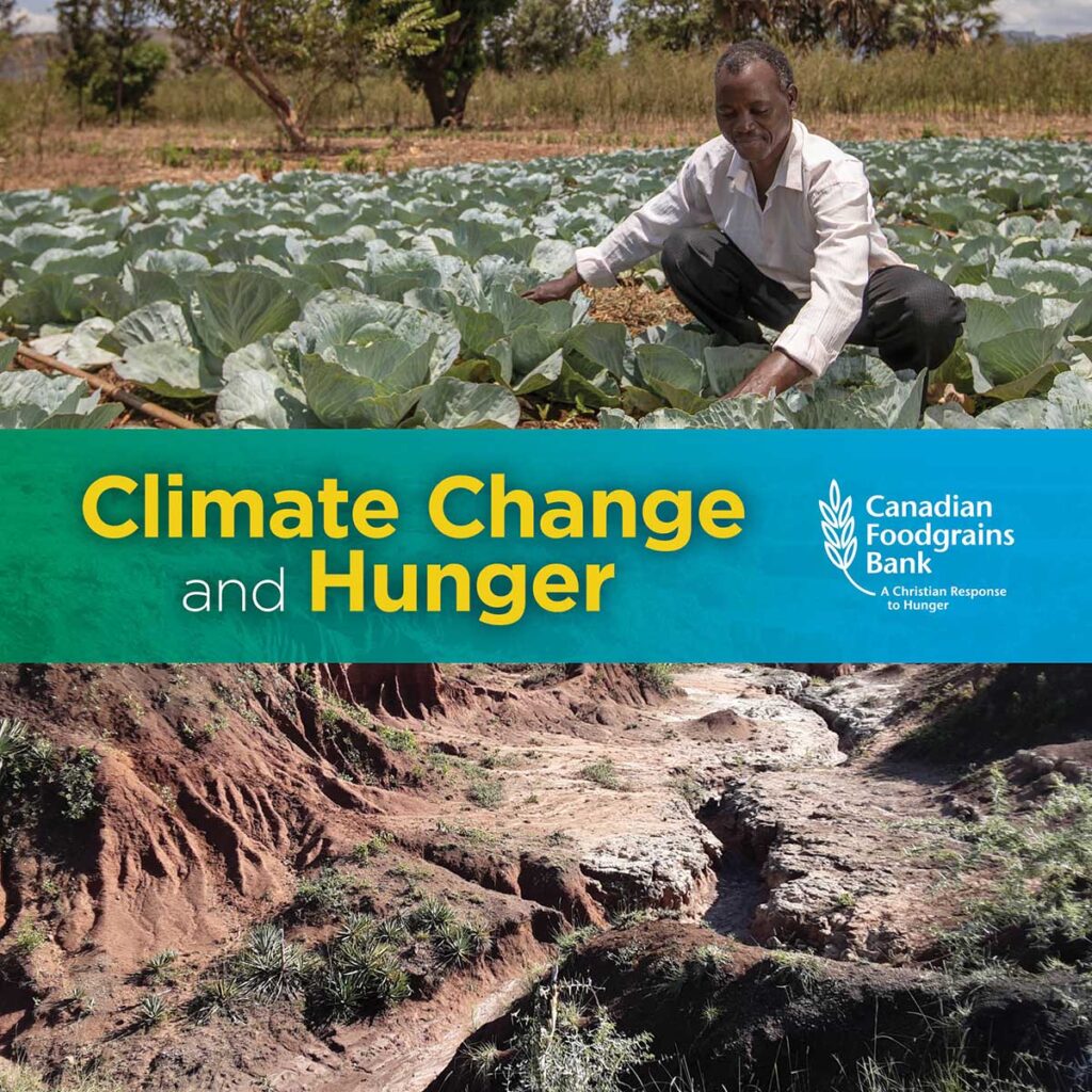 Climate Change & Hunger Brochure | Canadian Foodgrains Bank