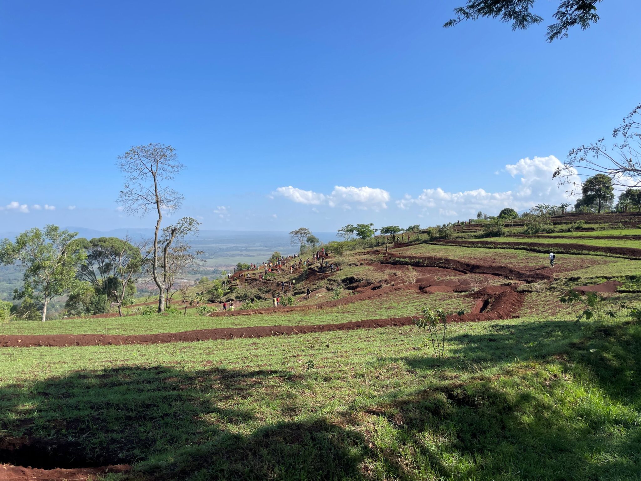 The impact of Nature+ in Ethiopia | Canadian Foodgrains Bank